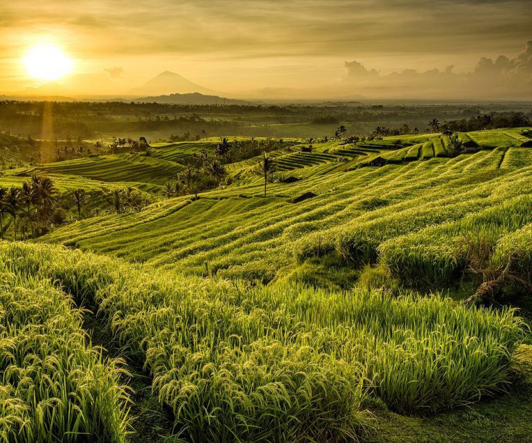 Panduan Tips Pergi Ke Gobleg Buleleng