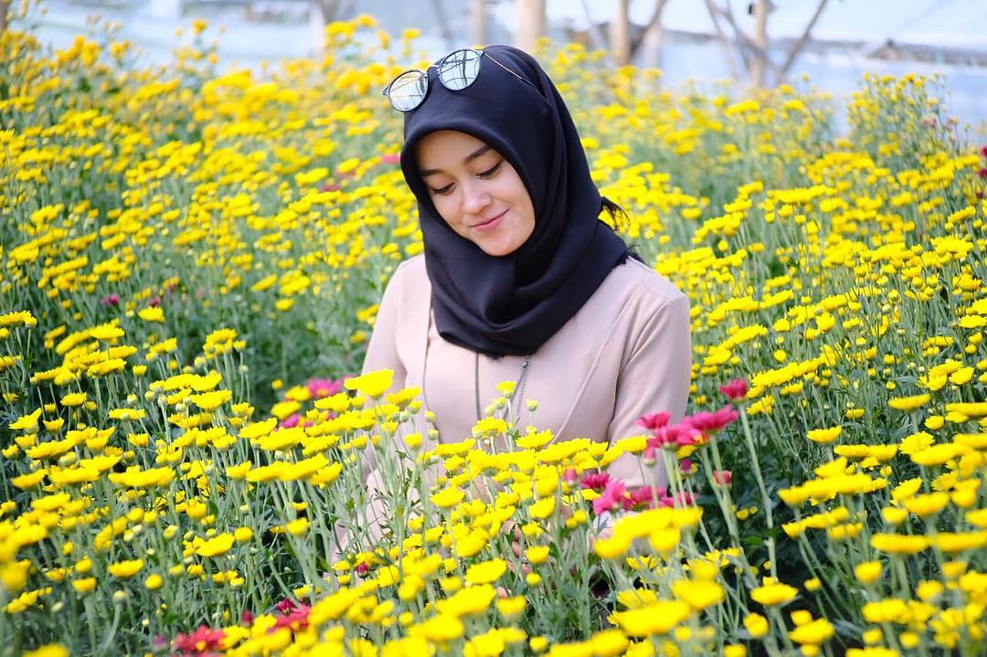 Setiya Aji Flower Farm, Taman Bunga Cantik di Bandungan